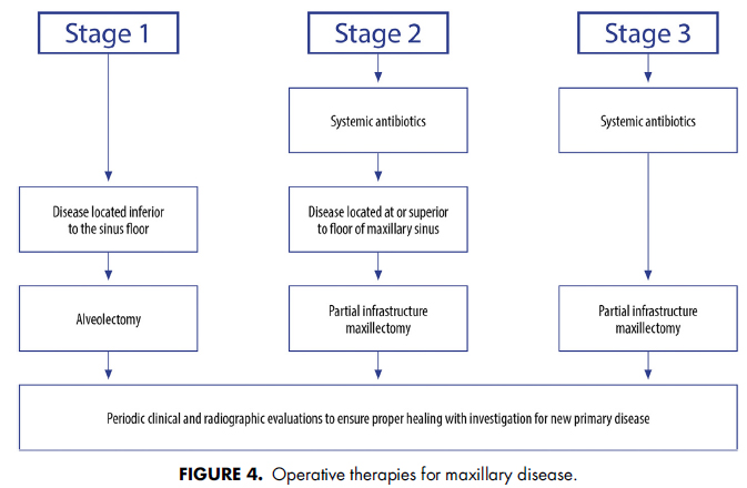 MRONJのポジションペーパー2022(英日両記ver) | 5代目歯科医師の日常？